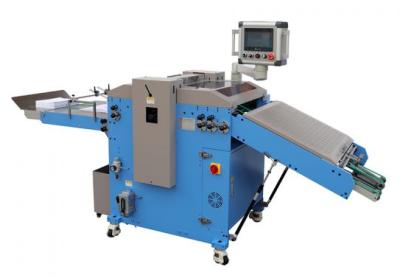 China Automatic Access Punching Machine High Precision Stable High Efficiency for sale