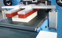 China Automatic Access Punching Machine to provide punching operations with minimal downtime for sale