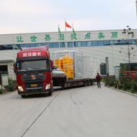 China Fully Automated Biomedical Waste Equipment Disposal Treatment Plant for sale