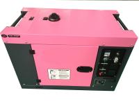China 65dB 7kw Small Diesel Generators Power Electric Start ISO9001 for sale