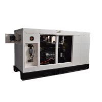 China 300 KVA 6 Cylinder Power FPT Engine Generators Support Customer Customization for sale