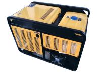 China 300A portable diesel generator welder 2 cylinder air cooled engine for sale