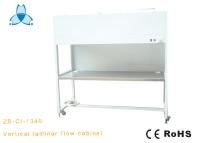 China Vertical Laminar Flow Cabinet 1-2 Person For Scientific Research Laboratory for sale