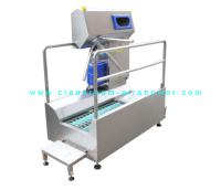 China Passage Boot Sole Washer , Sole Cleaning Machine For Entrance Unit In Food Workshop for sale