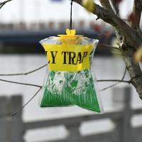 China Water-soluble Fly Trap for Safe and Effective Pest Management 55*44*43cm Carton Size for sale