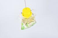 China Square Eco Material Mini Fruit Fly Trap Bottle Target Lure Plastic Feature for Indoor for sale