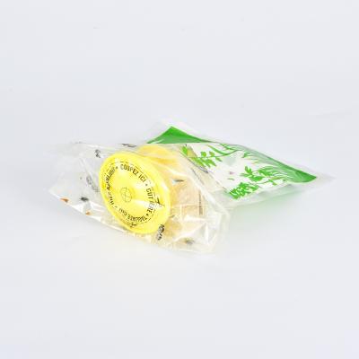 China Non-Toxic Solution Professional Catch Insects Fly Bag for Pest Control for sale
