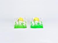 China Non-Toxic Solution Professional Catch Insects Fly Bag for Pest Control for sale