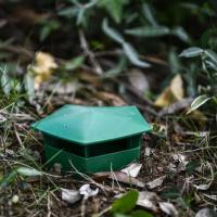 China Solid Durable Plastic Garden Soil Snail Trap Box Catcher for Display for sale