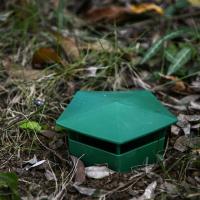 China Farm Lawn Garden Snail Slug Catcher The Ultimate Solution for Pests in Your Garden for sale