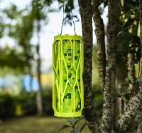China Sticky Insect Flying Trap for Catching Insects in Garden Sustainable for sale