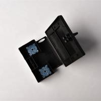 China Animal Control Indoor Plastic Mouse Killer Trap Rat Box Catcher with No Power Source for sale