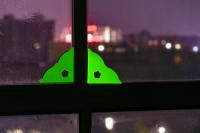 China Eco-friendly Window Insect Trap and 2.0g Glue The Ultimate Beetle Control Solution for sale