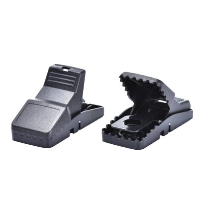 China Customized Plastic Mouse Snap Trap The Ultimate Solution for Rodent Infestation for sale
