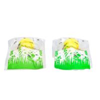 China Insect Control Plastic Flying Catcher Trap Bag for Safe and Eco-Friendly Pest Control for sale