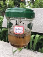 China Applicable Area 100-150 Square Meters Solar Hanging Wasp Trap Carton Size 52x41x26cm for sale