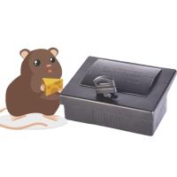 China Accessories for Professional Pest Control Indoor Multi Catch Plastic Mouse Mice Trap Box Cage for sale