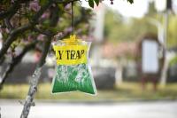 China Mini Fruit Fly Trap Bottle Bag Your Key to Flies Control and Insect Control for sale