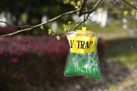 China Mini Fruit Fly Trap Bottle Bag Your Key to Flies Control and Insect Control for sale