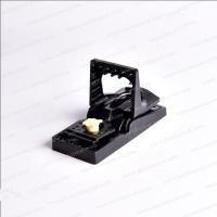China Practical Plastic Rat Trap for Sustainable Pest Control in Home Environments for sale