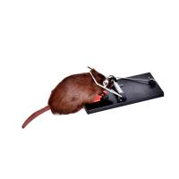 China Mice Trap Powerful Spring Catcher Mouse Killer Plastic TRAPS for Pest Management for sale