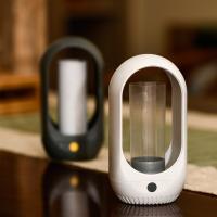 China Insect Pest Control Product Uv Light Physics Electric Black Charger Mosquito Trap Killer Usb Lamp for sale