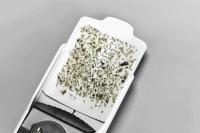 China Sticky Glue Paper Insects Killer 80g Capacity 1 Plug-in Wall Lamp for Mosquito Extermination and Insect Control for sale