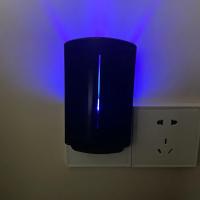 China Solid State Wall Plug in Sticky Glue Pads Mosquito Killing Lamp Moth Insect Killer Trap Fragrance None for sale