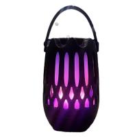 China Solid State 5V DC Portable Sticky Mosquito Killer Bug Zapper with Flame Night Light and Bluetooth for sale