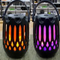 China Solid State 5V DC Portable Sticky Mosquito Killer Bug Zapper with Flame Night Light and Bluetooth for sale
