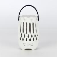 China Summer Season Indoor Customized Logo Anti Mosquito Bug Zapper with Bluetooth Function Night Light and Electrical Power Source for sale
