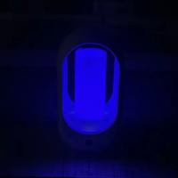 China SANITARY USB Rechargeable UV Sticky Board Mosquito Killer Lamp Insect Moth Bug Zapper Night Light Fragrance None for sale