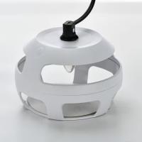 China Solid State 320g Flea Bed Bugs Moth Flying Insect Termite Trap Killer Bulb and Sticky Pad for sale