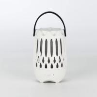 China 100-150 Square Meters Applicable Area Multi-functional Flame Mosquito Killer Lamp with Bluetooth Speaker and Night Light for sale