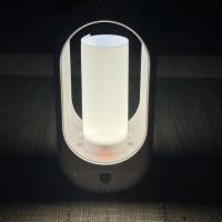 China 15*8*7CM Size USB Rechargeable UV Mosquito Killing Lamp Insect Moth Killer Night Light with Sticky Board for sale