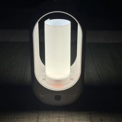 China 15*8*7CM Size USB Rechargeable UV Mosquito Killing Lamp Insect Moth Killer Night Light with Sticky Board for sale