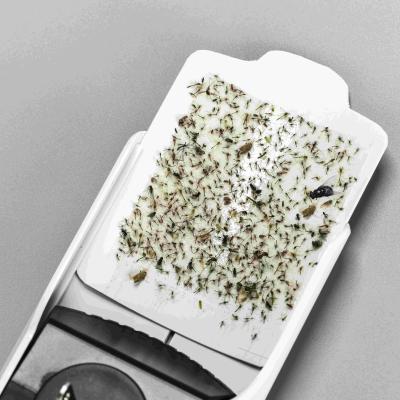 China 20-30m2 Coverage Plug-in Mosquito Lamp with Sticky Glue Pad Natural and Eco-friendly Advantage for sale