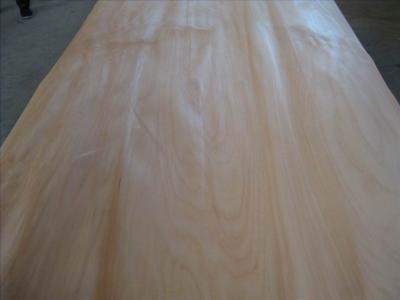 China 4’ x 8’ Rotary Agathis Veneer Sheet For Furniture, Door for sale