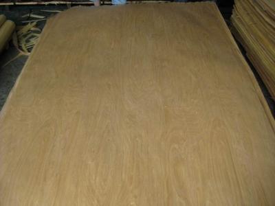 China Rotary Cut/Peeled Birch Wood Veneer Sheet for sale