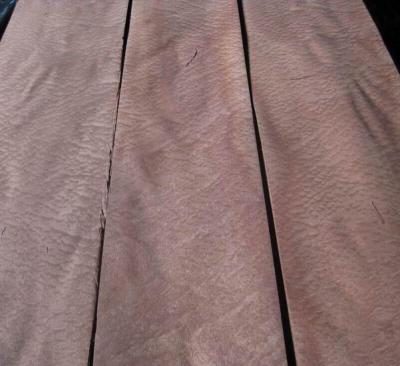 China Natural Sapele Pommele Wood Veneer For Projects for sale