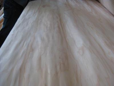 China 4’ x 8’ Radiata Pine Wood Veneer Sheet For Furniture, Door for sale