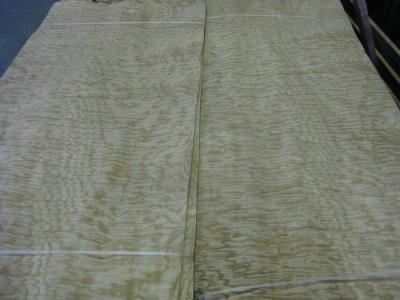 China Tamo Ash Burl Wood Veneer for Interior Decoration for sale