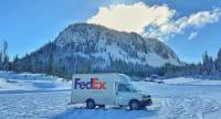 China FedEx International Express for sale