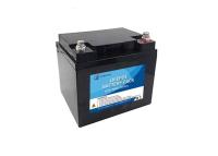 China 12.8V 30Ah Lifepo4 Battery Cell 12V M5 Terminal Light Weight For Solar System for sale