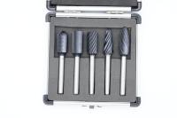 China 5-Piece AlTiN-Coated Wear and Heat Resistant Carbide Burr Set in Aluminum Case for sale