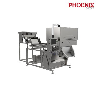 China 600mm Belt Infrared Sorting Machine 220V Colour Sorter Machine for sale