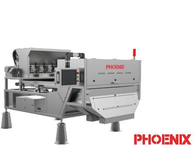 China 300mm Belt Vegetable Sorter Dehydrated Vegetable Grading Equipment for sale