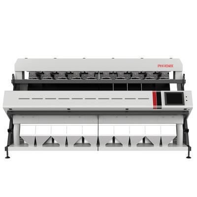 China VG Intelligent Optical Sorter: AI-based Multispectral Recognition Of Fava Beans By Color, Size, Shape, And Texture Defects for sale
