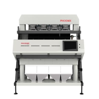 China Paddy RGB Color Sorter 220V Rice Colour Sorting Machine Customized for sale
