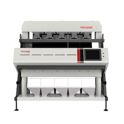 China VGV AI Optical Sorter Machine Precision Automatic Fruit Sorting Machine for sale